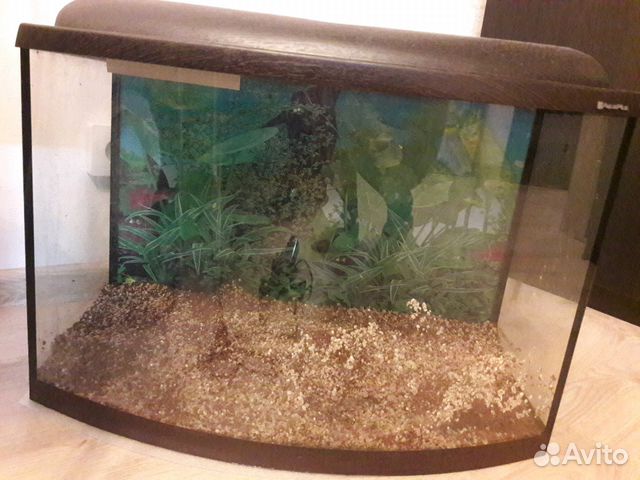 Аквариум 60 литров