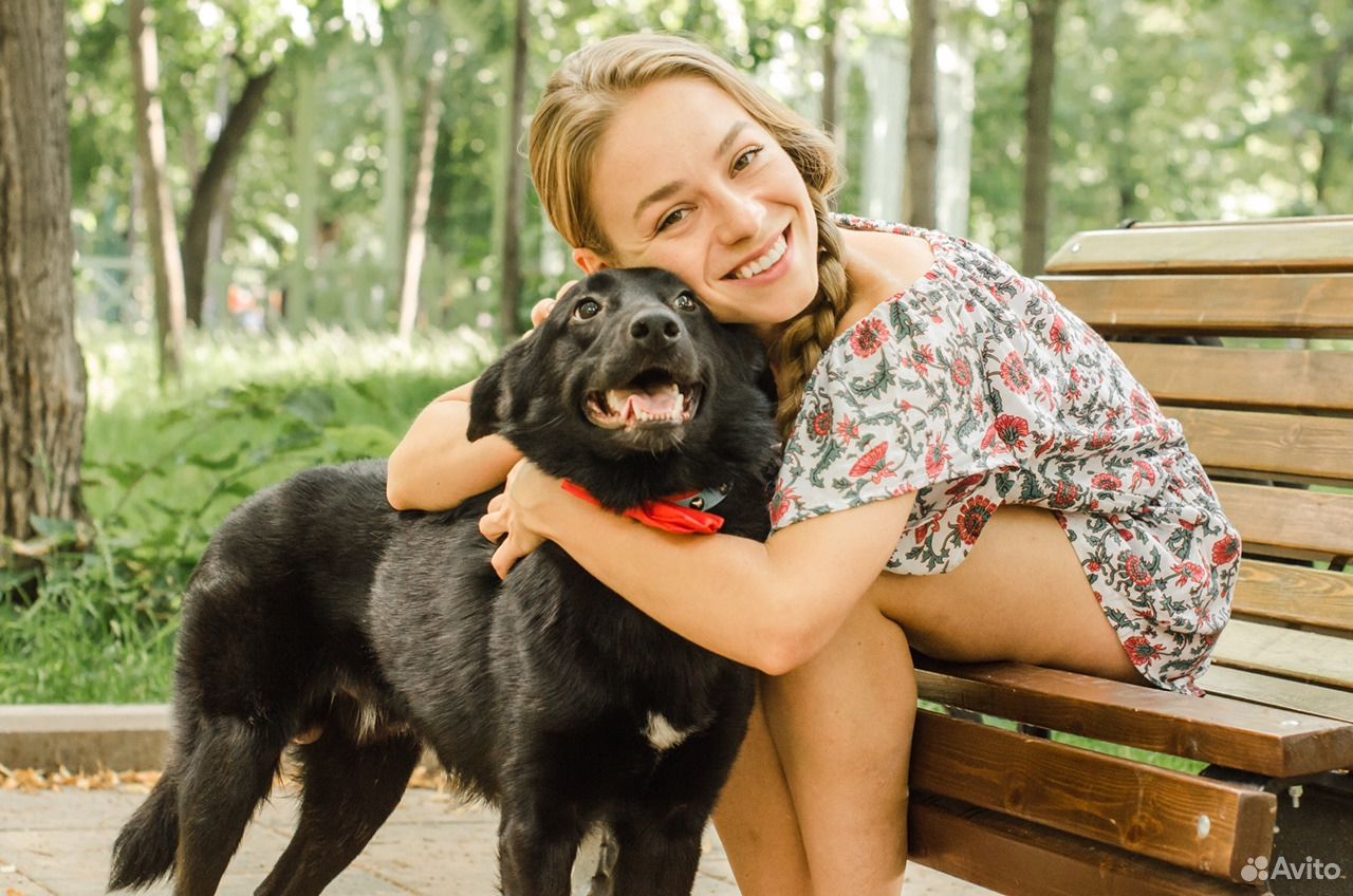 Звезды выбирают Сашку, щенок в добрые руки
