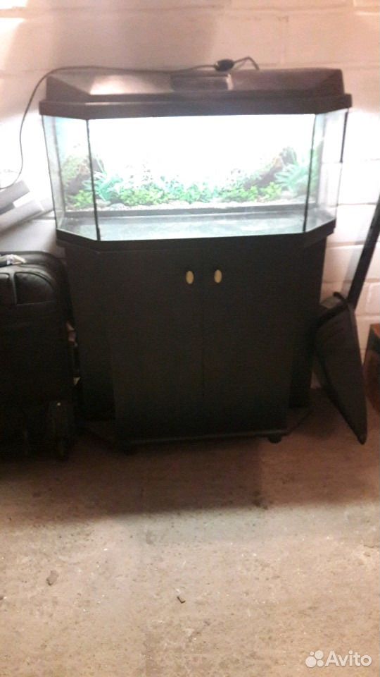 Панорамный аквариум 85 л. + тумба + наполнение