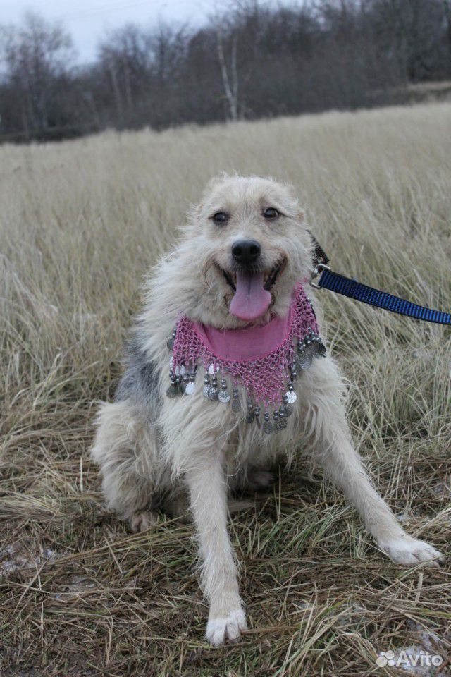 Малышка Иви отдается в добрые руки