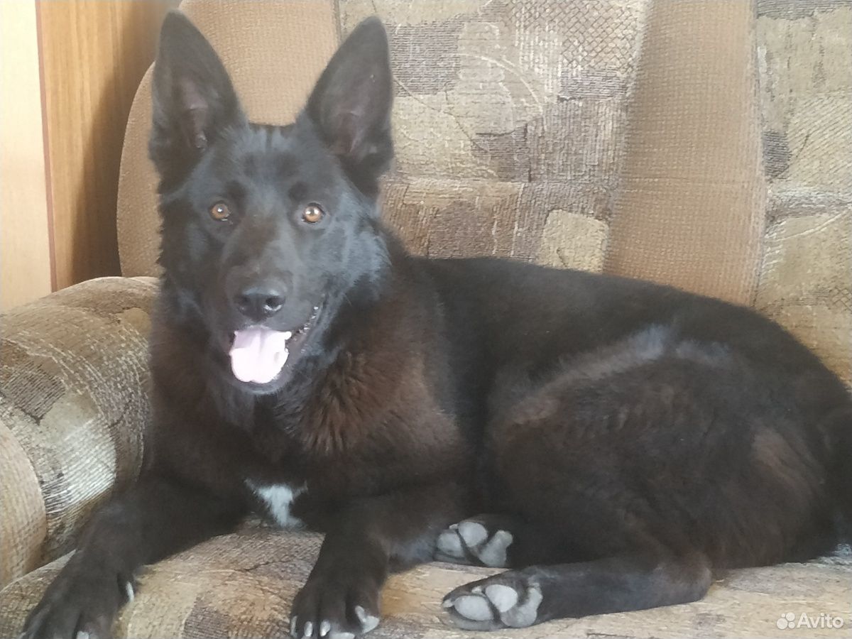 Ждём невесту