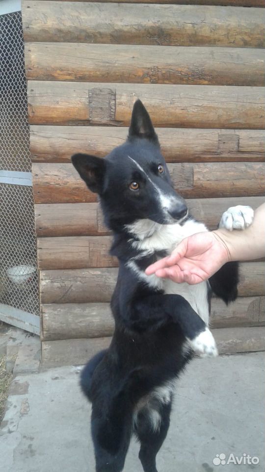 Великолепный Алекс