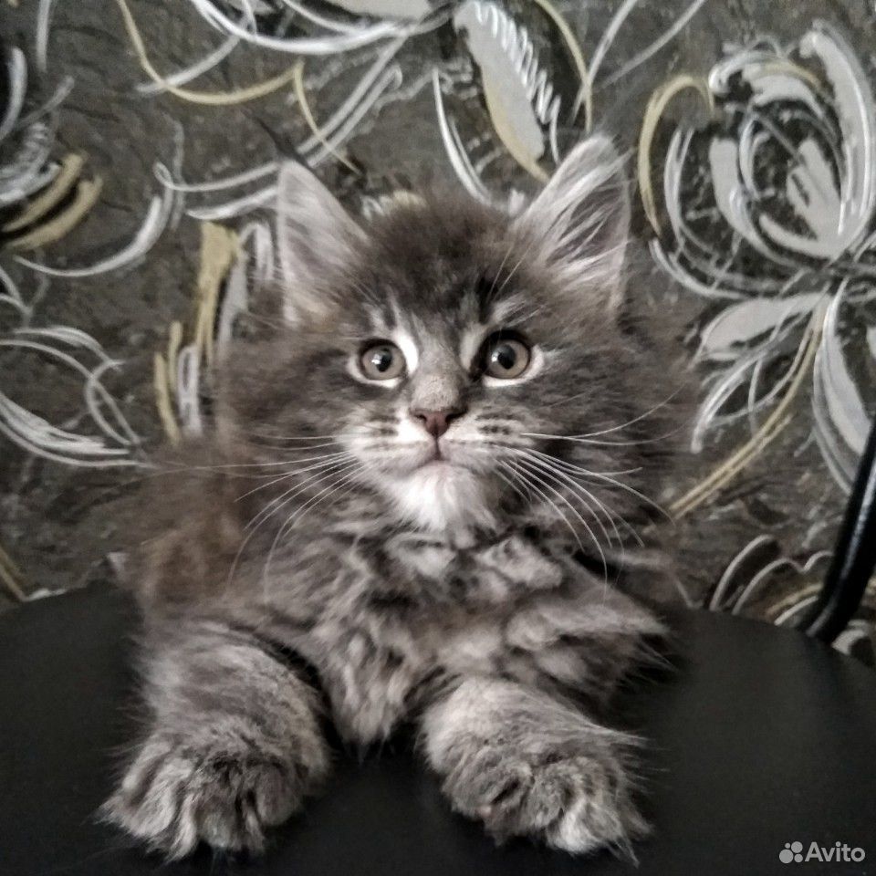 Мистический голубой