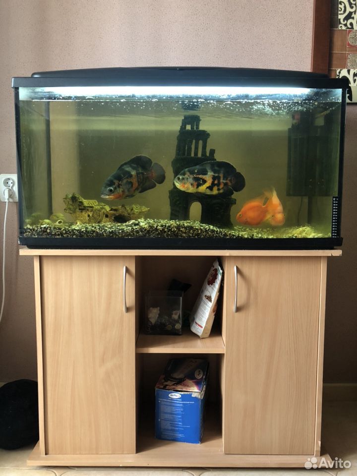Аквариум