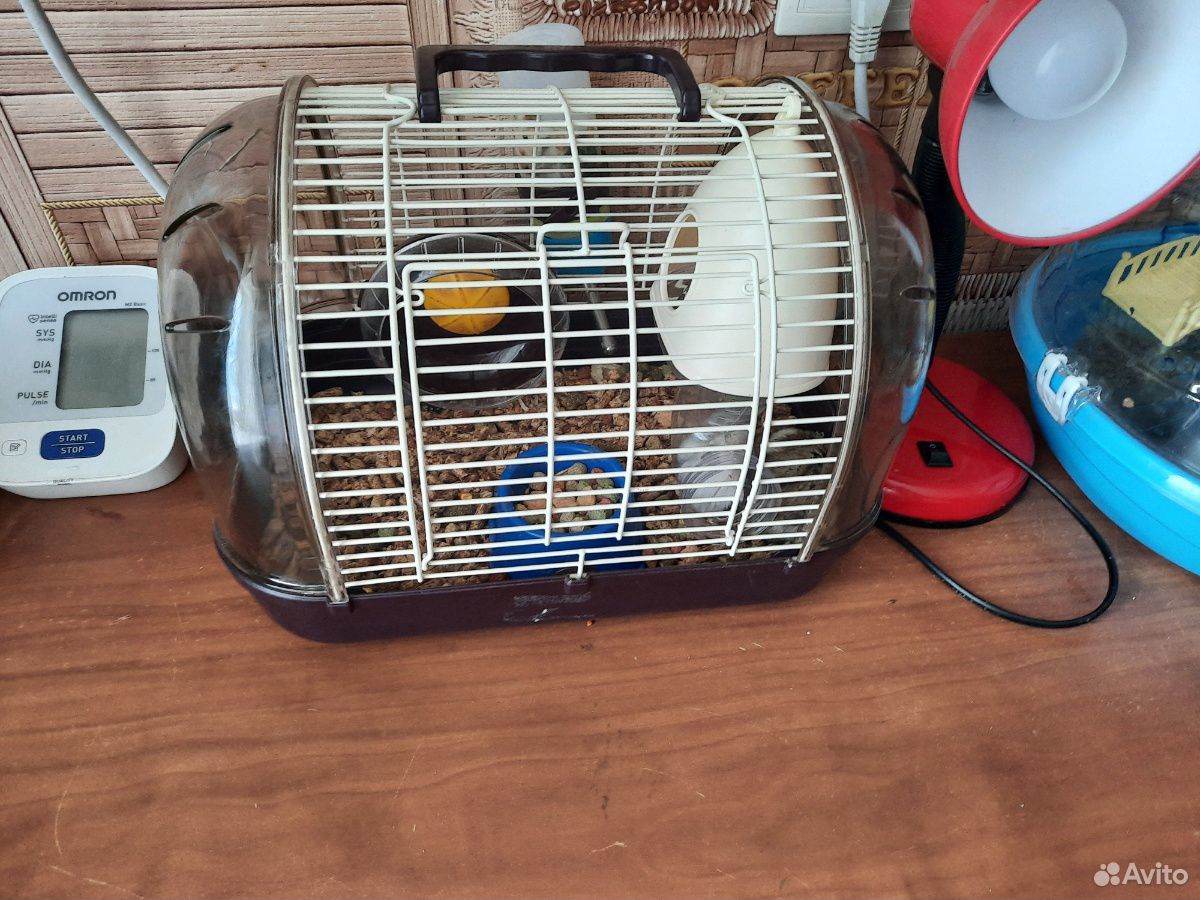 Джунгарчики