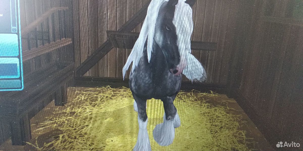 Ищу лошадь