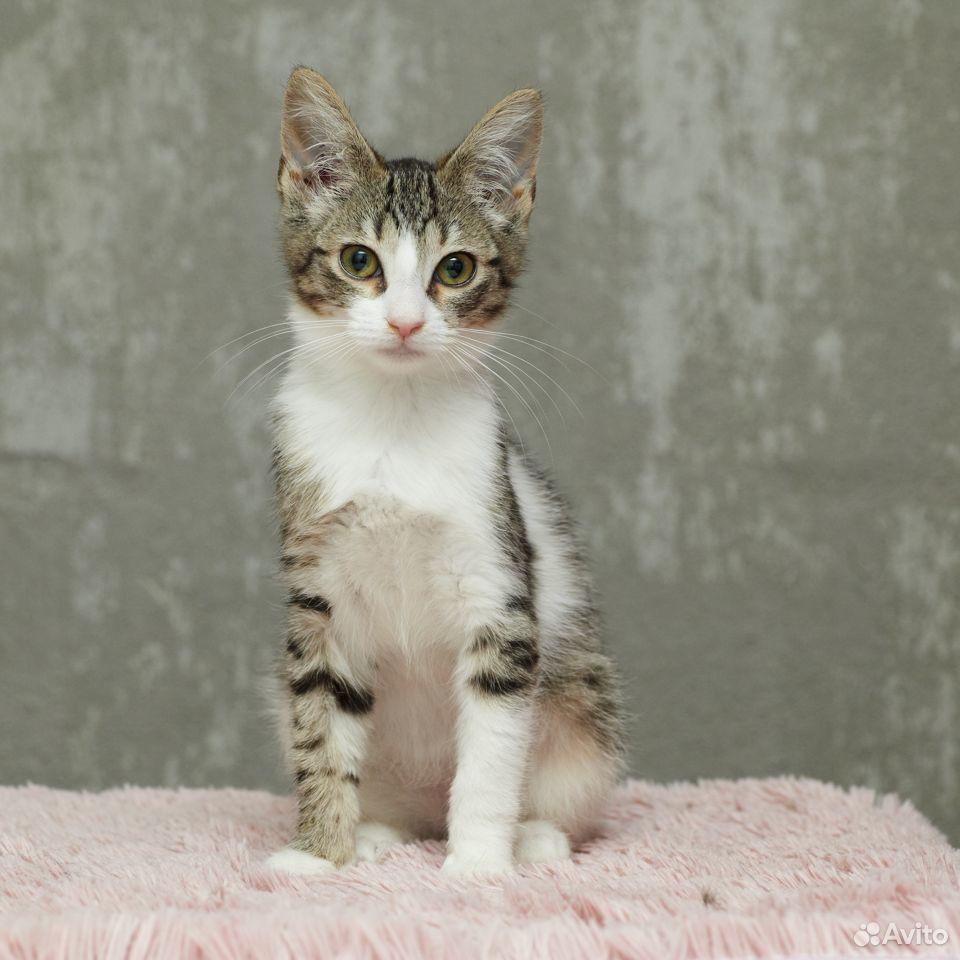 Девочка 3 месяца