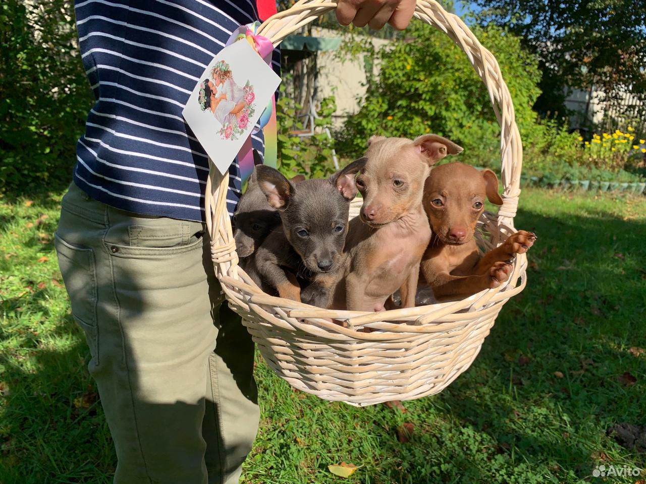 Мальчишки и девчонки