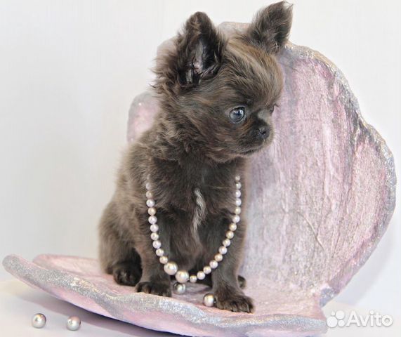 Голубая жемчужина