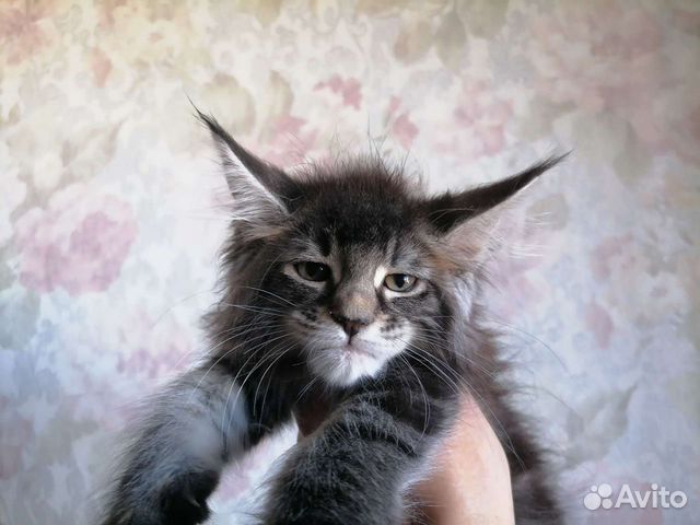 Серебро и не только