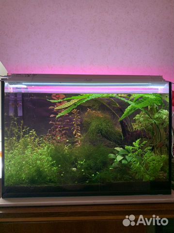 Аквариум полностью со всем, 60л