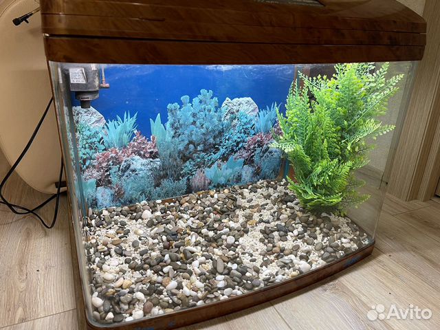 Аквариум