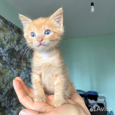 Сладкий Пирожочек
