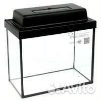 Аквариум с рыбкой еллоу