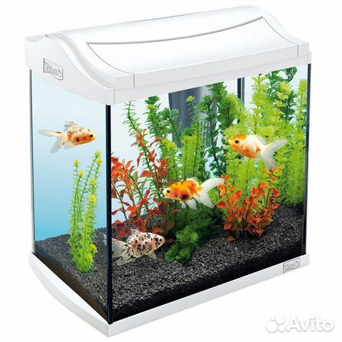 Tetra aquaart goldfish discover line 30Л аквариум