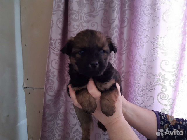 Сладкие пирожочки