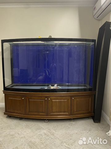 Аквариум с тумбой 1500л