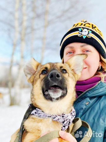 Подарите щенку надежду на жизнь