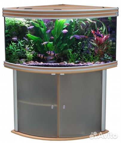 Аквариум "Elite Corner 120" 305л (бук) с тумбой 02