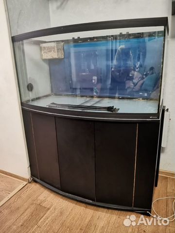 Аквариум морской 300л +самп 100л