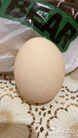 Поставка двухжелтковое яйцо
