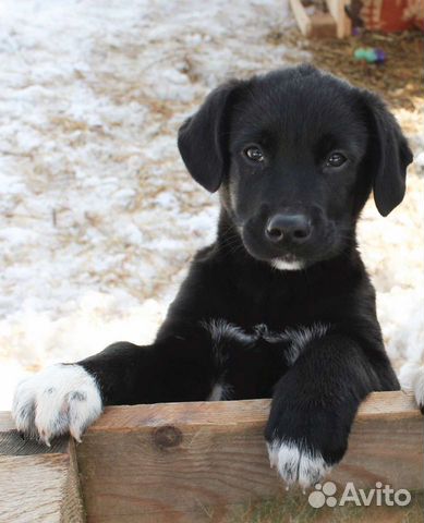 Гномка хочет домой