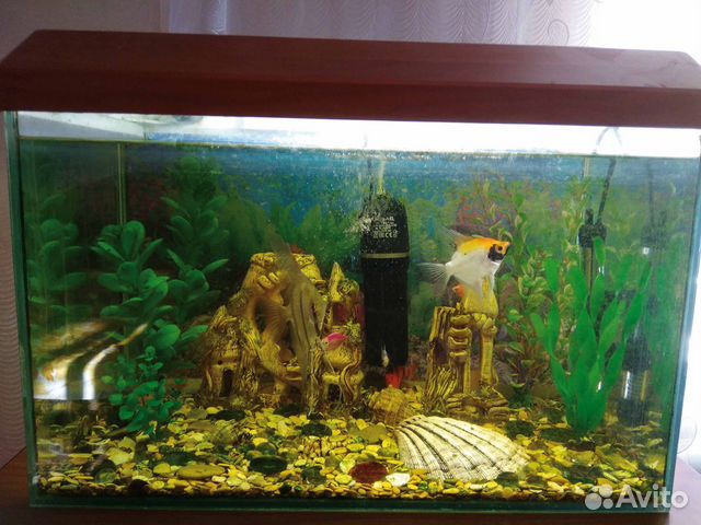 Аквариум 50 л с рыбками