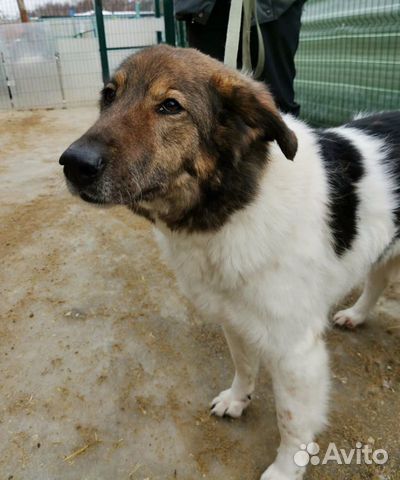 Каждый день она трясется от страха