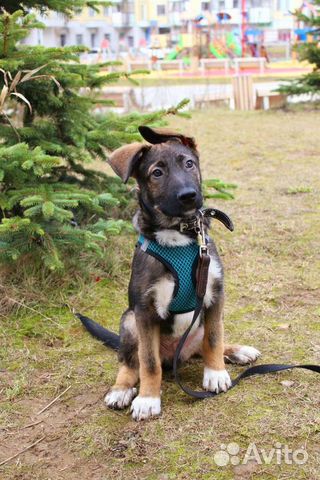 Кирюша в дар