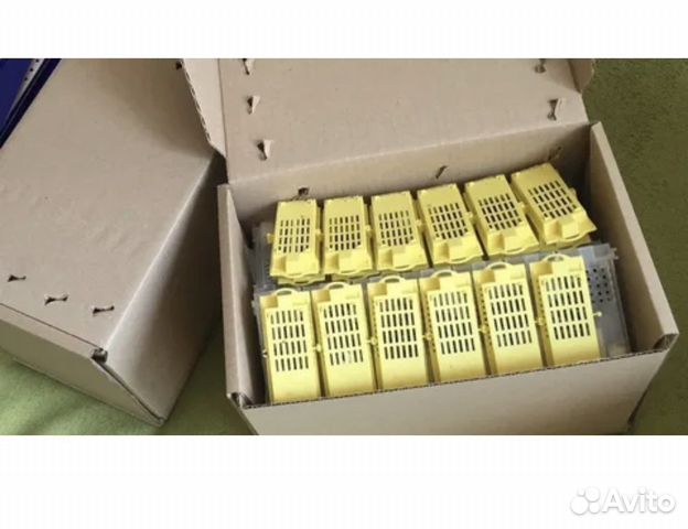 Матки неплодные среднерусские