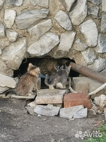 Малышам нужна помощь