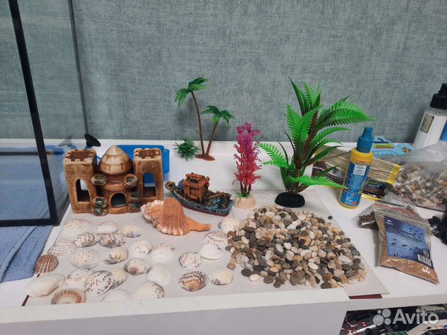 Аквариум и все необходимое