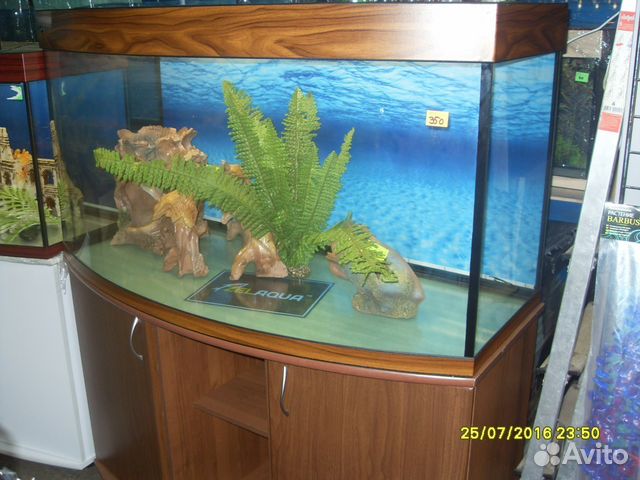 350л орех панорам+ тумб+ итальянск фильтр. Бесп до