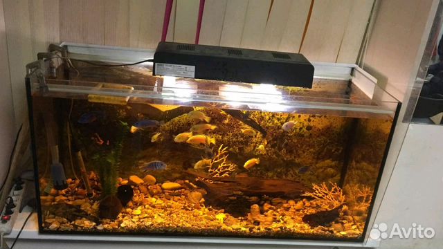 Аквариум 350л