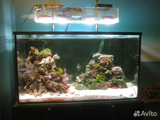 Морской аквариум