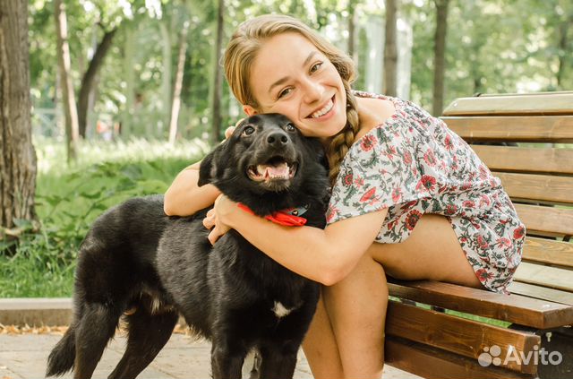 Звезды выбирают Сашку, щенок в добрые руки