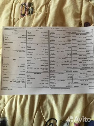 Продаются щенки западносибирской лайки