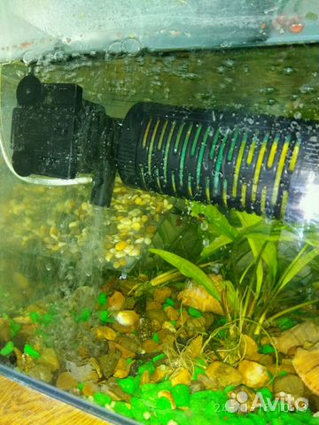 Аквариум,рыбки,фильтр-насос