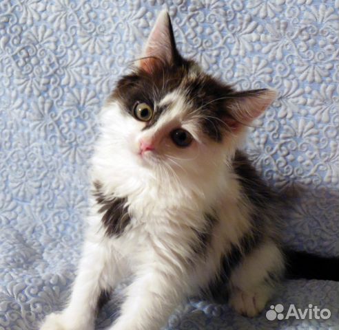 Мини-облачко Маняша в ласковые заботливые руки