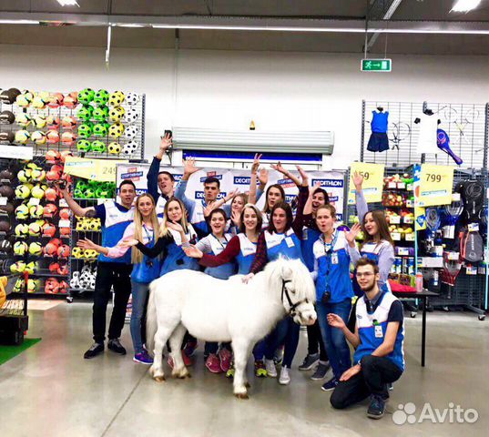 Замечательные пони