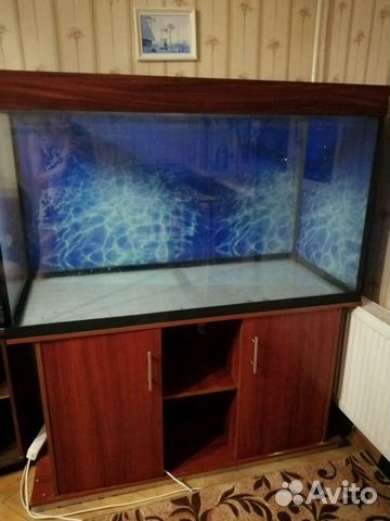 Аквариум