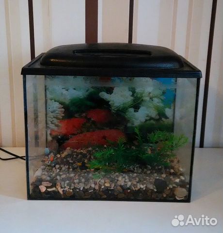 Продам аквариумы
