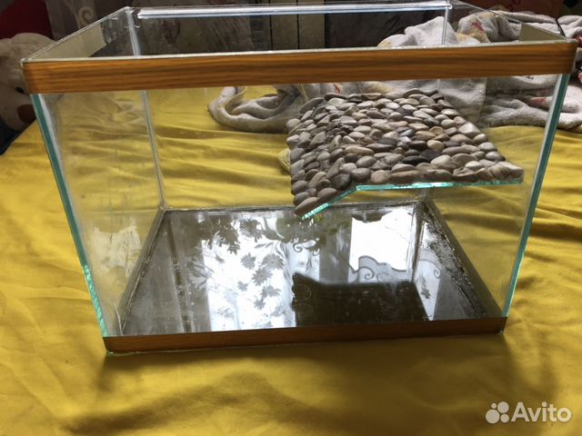 Аквариум для черепахи
