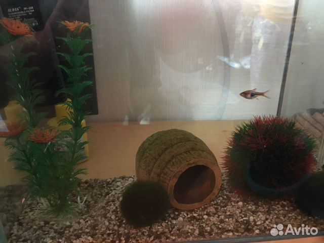 Аквариум