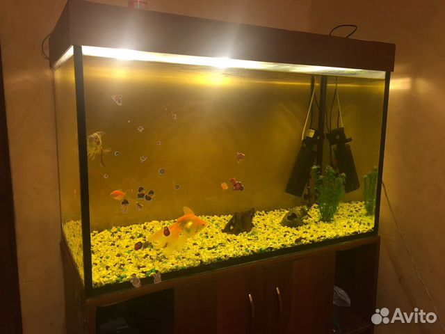 Аквариум