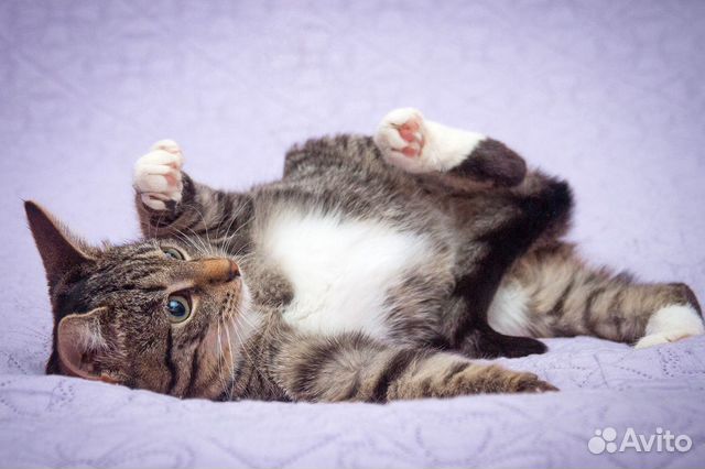 Малышка Нюся в добрые руки