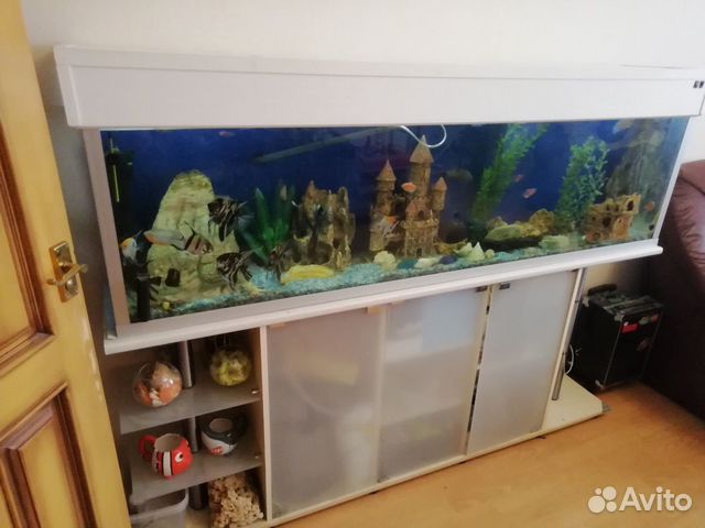 Аквариум 250 литров