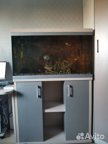 Аквариум 250 литров, оборудование и рыбы