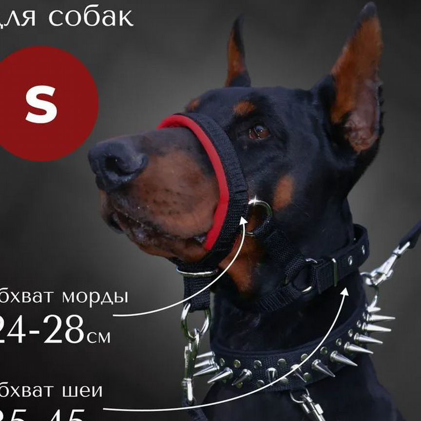 Недоуздок(халти) tesla collar для собак "S" с крас