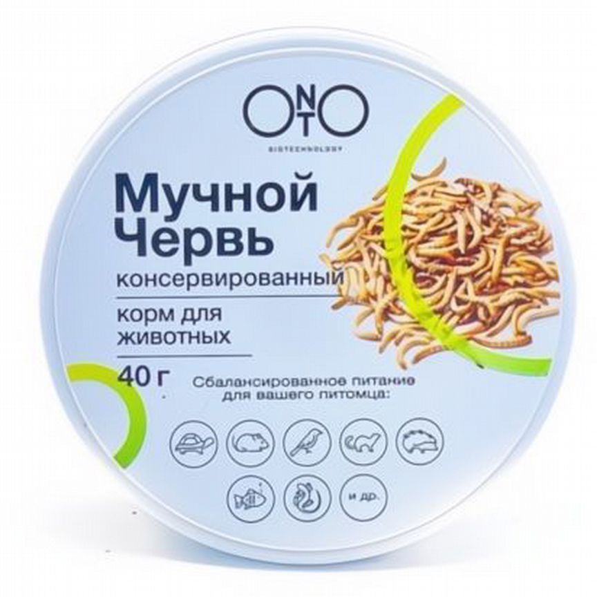 Мучной червь